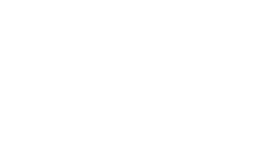 Landing Page - ESNEFT